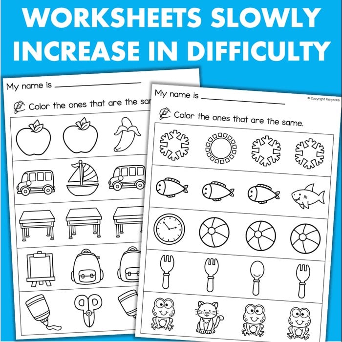 Same and Different Worksheets Visual Discrimination Objects Shapes ...