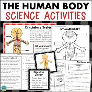 Human Body Activities Worksheets Posters 2nd 3rd Grade Science - Fishyrobb