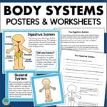 Human Body Systems Activities and Science Reading Passages