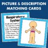 Human Body Systems Activities and Science Reading Passages