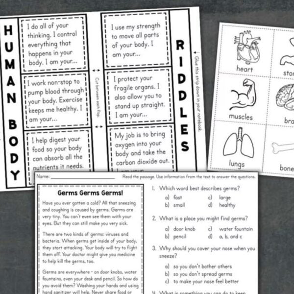 Human Body Activities Worksheets Posters 2nd 3rd Grade Science - Fishyrobb