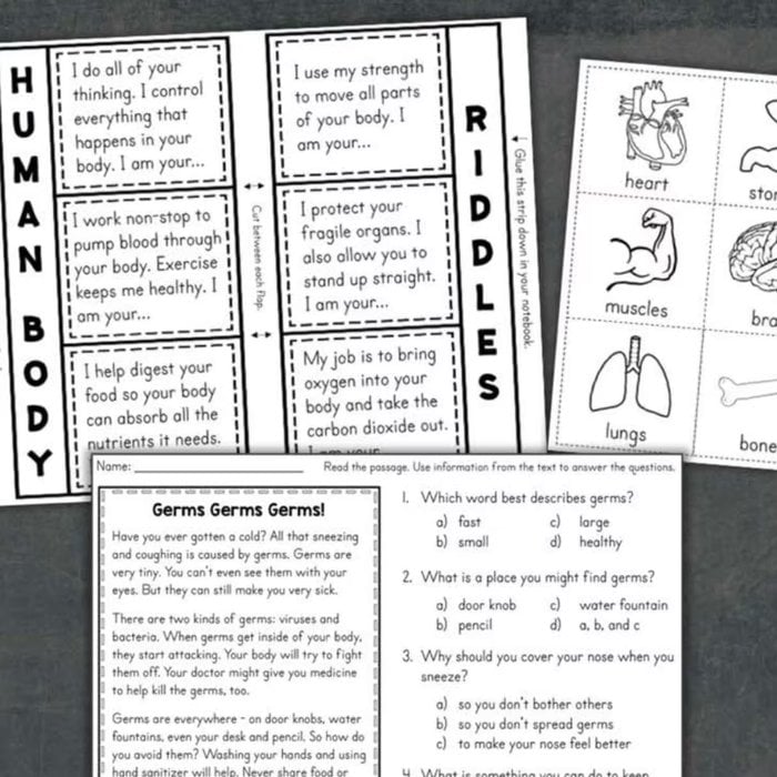 Human Body Activities Worksheets Posters 2nd 3rd Grade Science - Fishyrobb