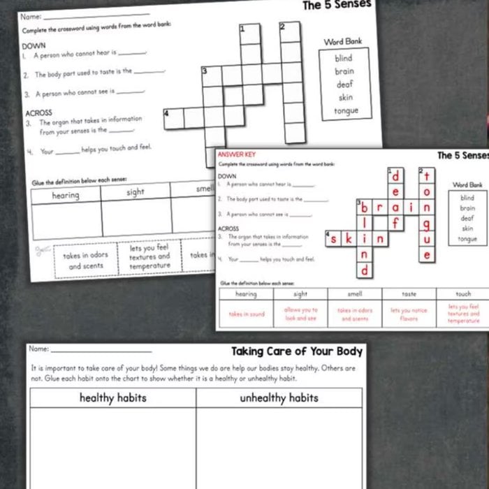 Human Body Activities Worksheets Posters 2nd 3rd Grade Science - Fishyrobb