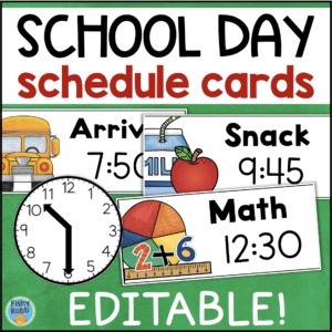 Visual Classroom Daily Schedule Cards Editable - Fishyrobb