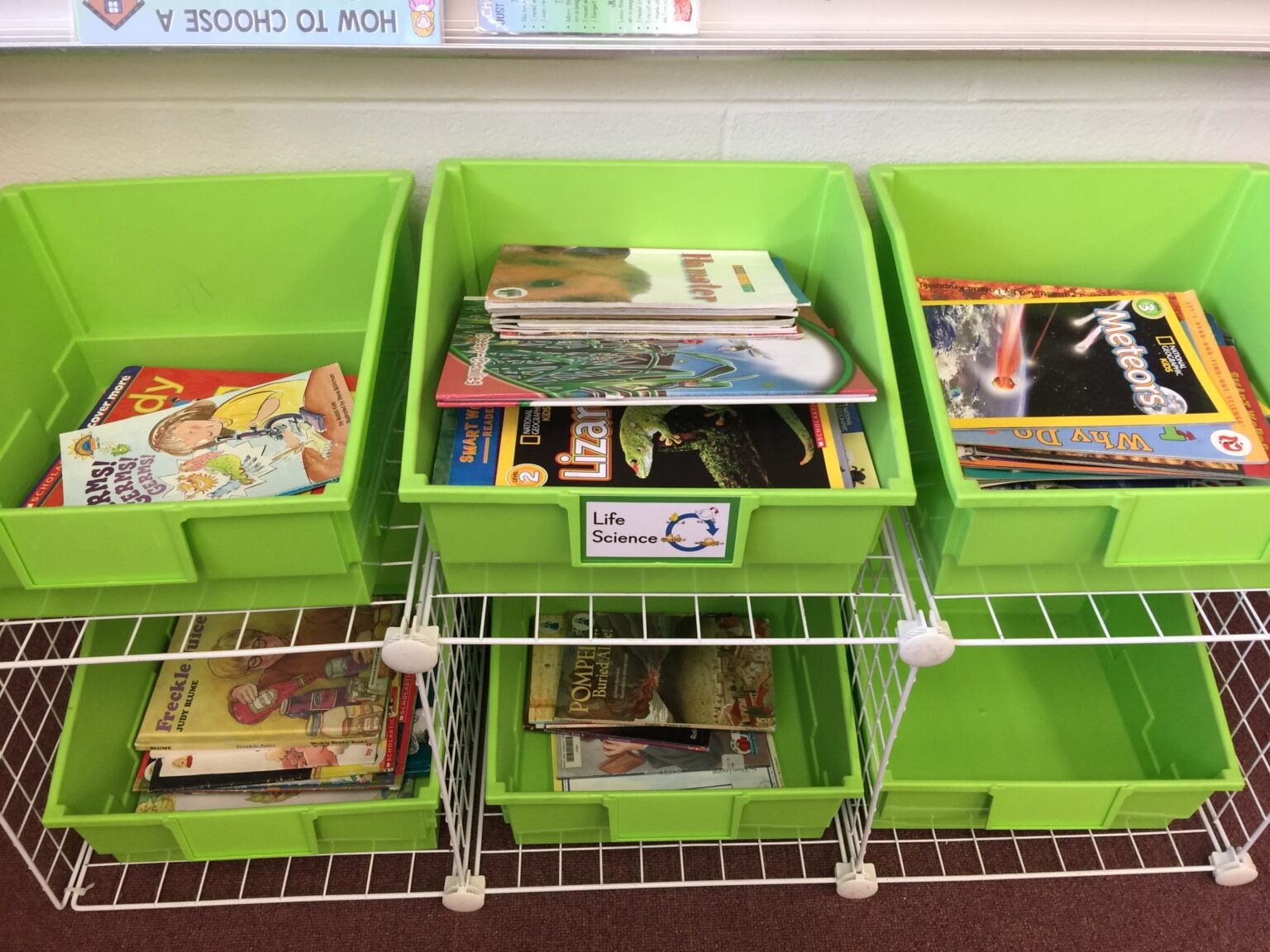 The Best Way to Organize A Classroom Library and Keep It That Way ...