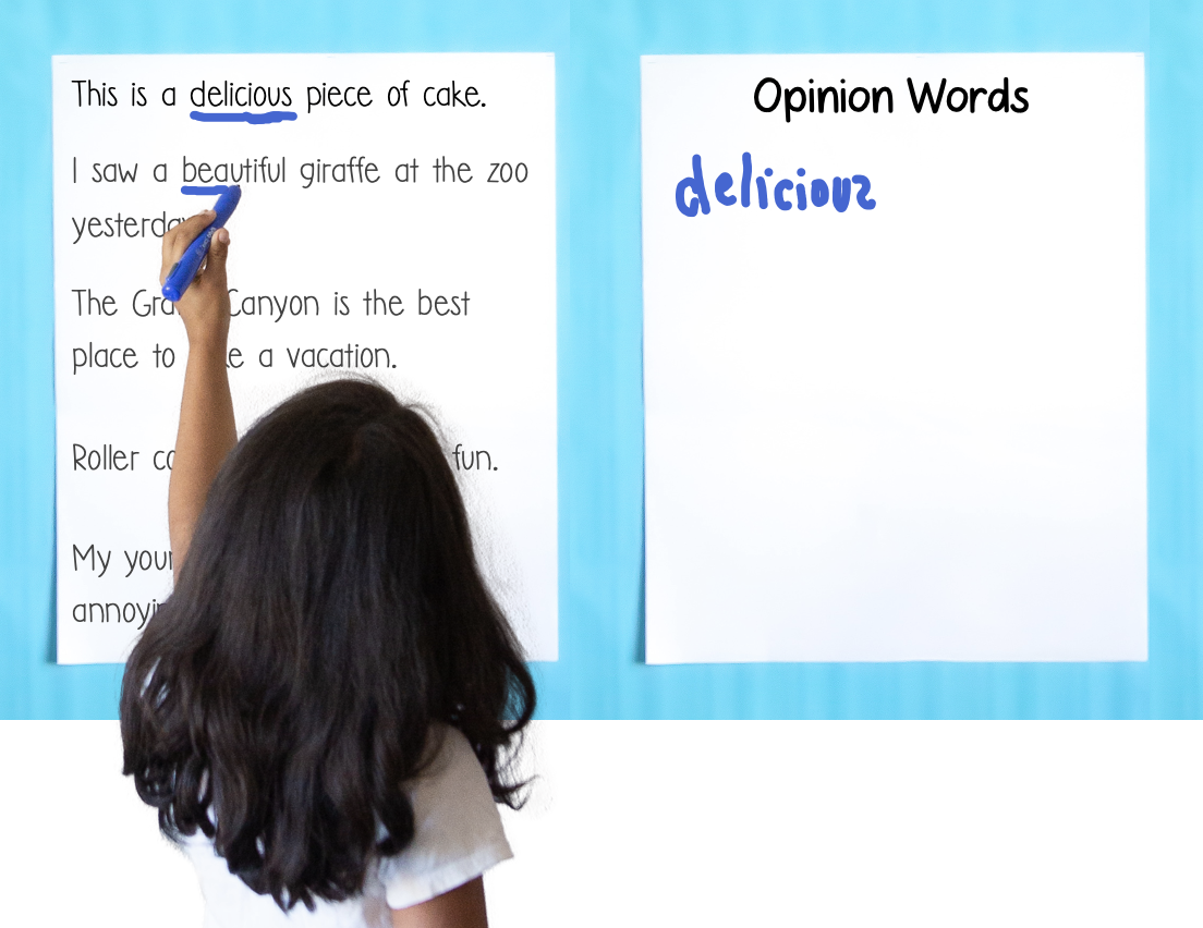 5 Fact and Opinion Activities & Lesson Ideas Your Students Will Love ...