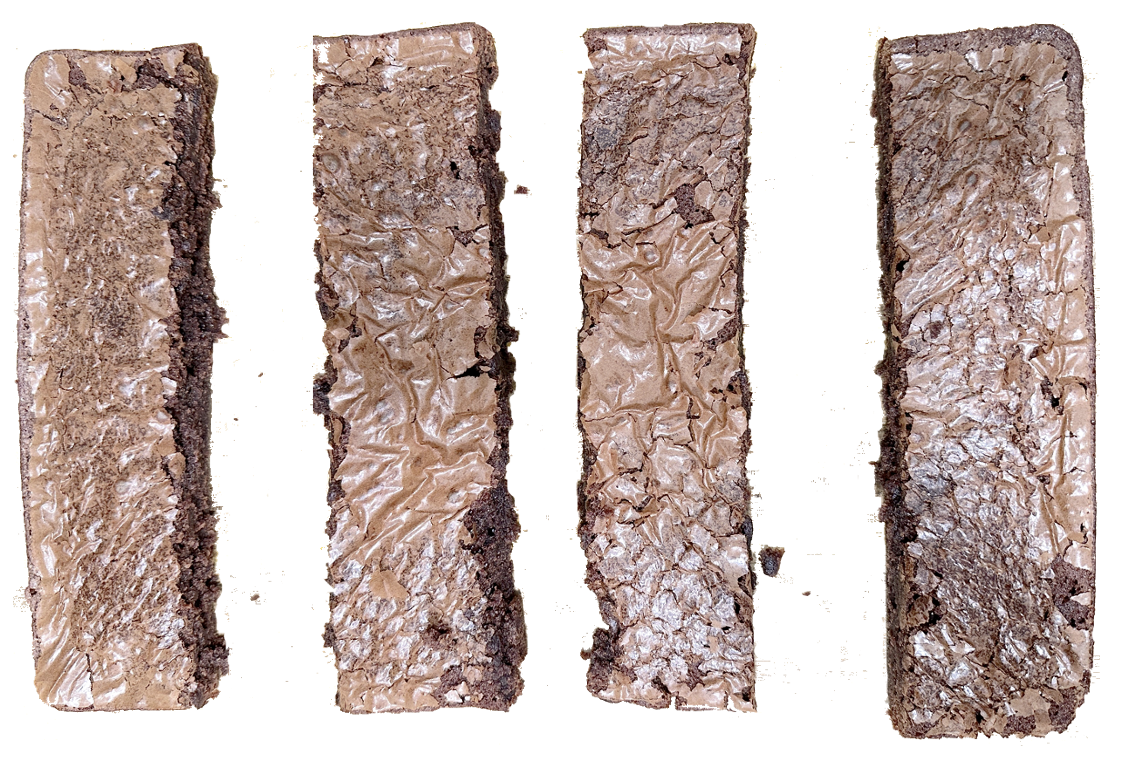 Fun Hands-On Equivalent Fractions Activities for 3rd Grade - Fishyrobb