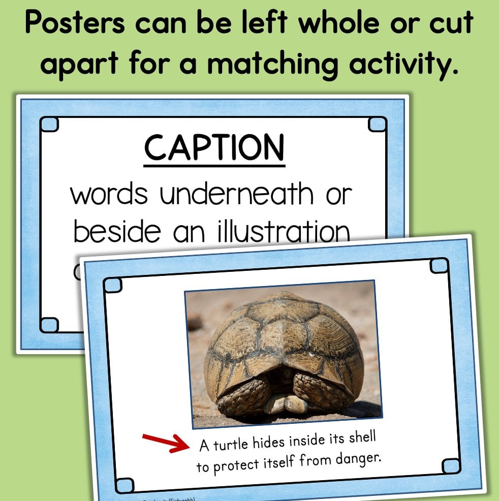 Non-fiction Text Features Posters and Worksheets - Fishyrobb