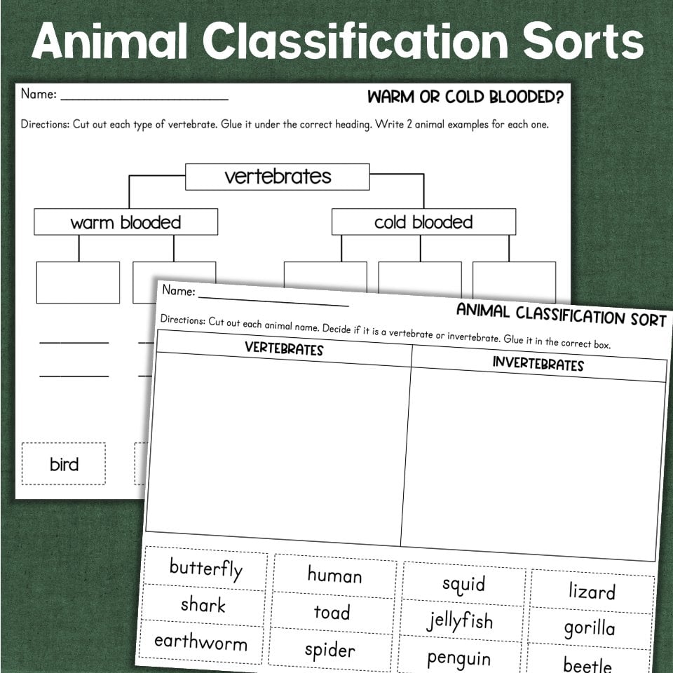 Animal Classification Activities Vertebrates and Invertebrates - Fishyrobb