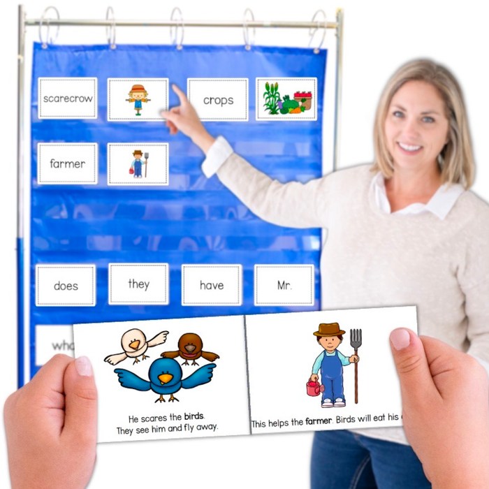 Fall Decodable Readers with Comprehension Questions 8 Mini Books