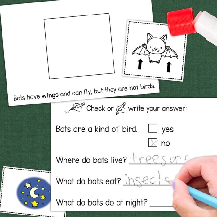 Fall Decodable Readers with Comprehension Questions 8 Mini Books