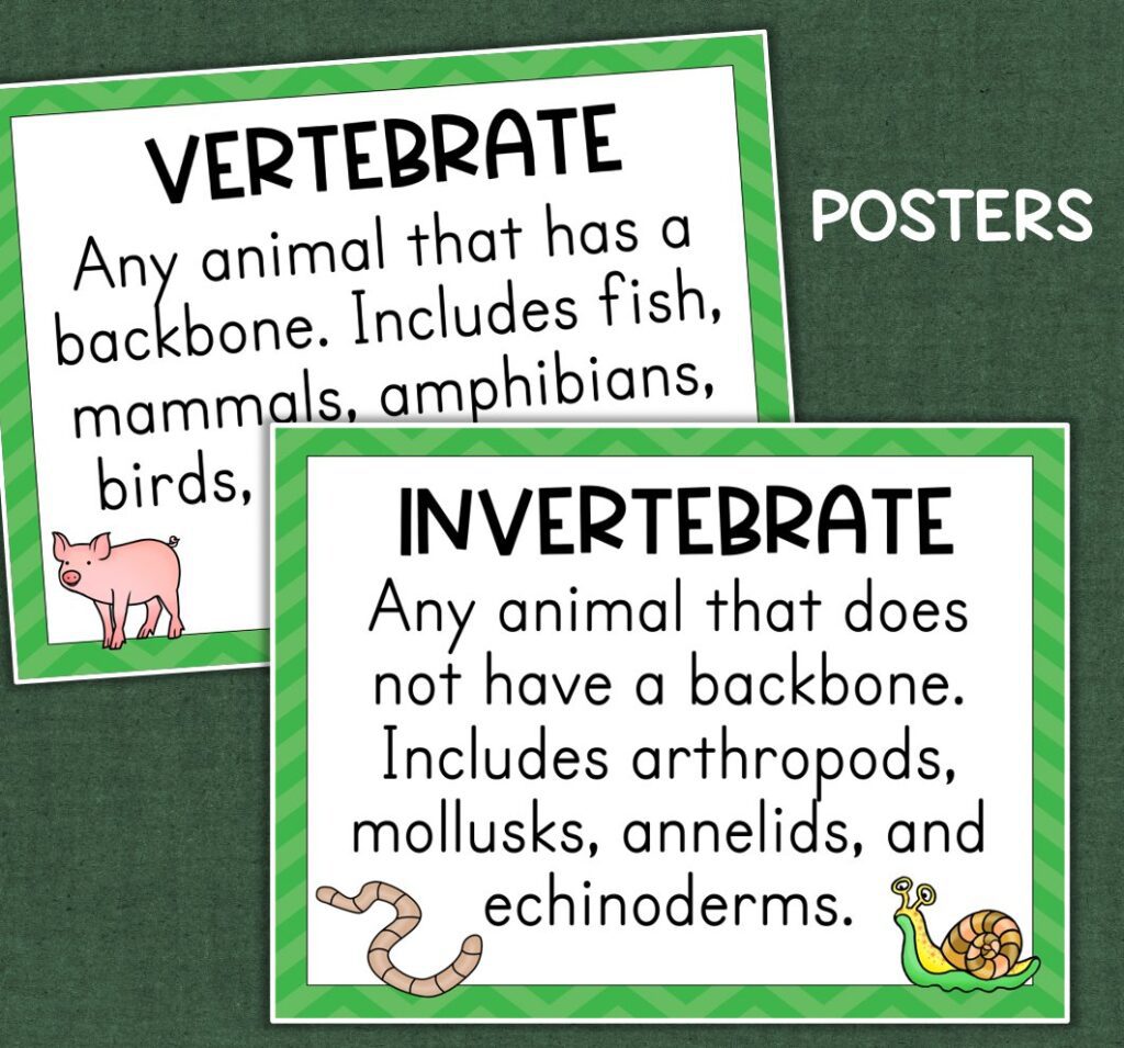 Animal Classification Activities Vertebrates and Invertebrates