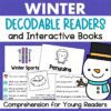 Winter Reading Comprehension Mini Books Decodable Stories with Questions