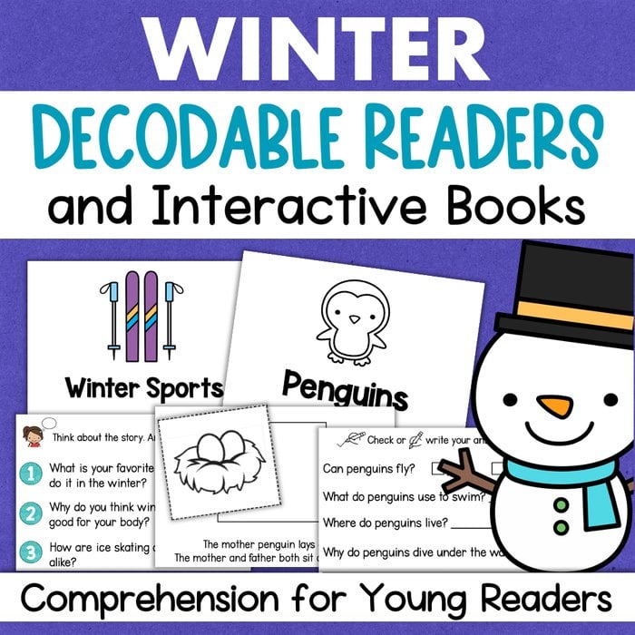 Winter Reading Comprehension Mini Books Decodable Stories with Questions