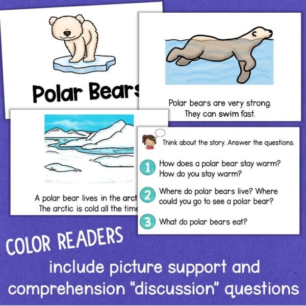 Winter Reading Comprehension Mini Books Decodable Stories with Questions