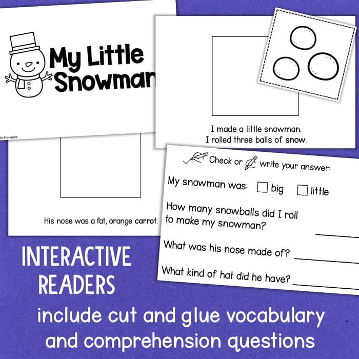Winter Reading Comprehension Mini Books Decodable Stories with Questions