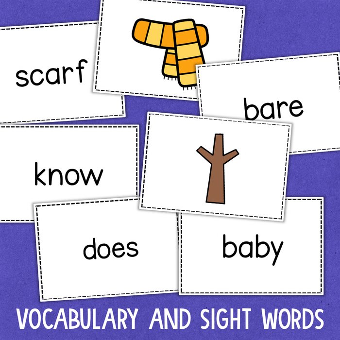 Winter Reading Comprehension Mini Books Decodable Stories with Questions