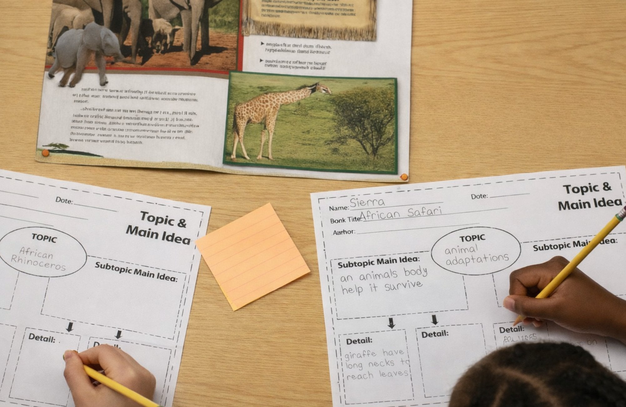 Should You Do Guided Reading in 3rd Grade?